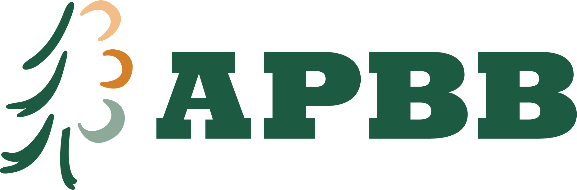 En direct de l’APBB